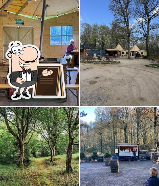 Fodder in the Woods in Downpatrick - Restaurant menu and reviews