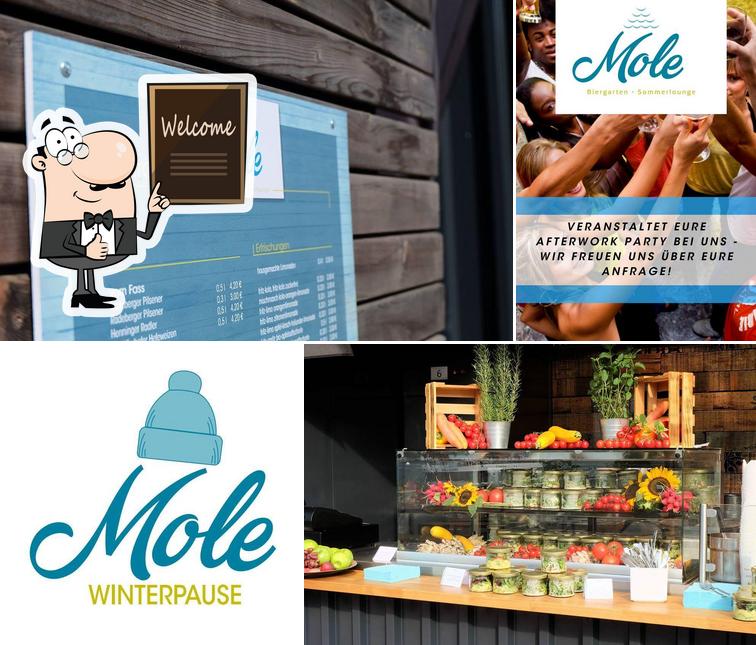 Mole Biergarten Sommerlounge, Mainz - Speisekarte, Preise und Bewertungen