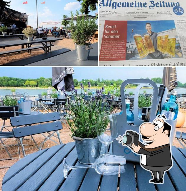 Mole Biergarten Sommerlounge, Mainz - Speisekarte, Preise und Bewertungen