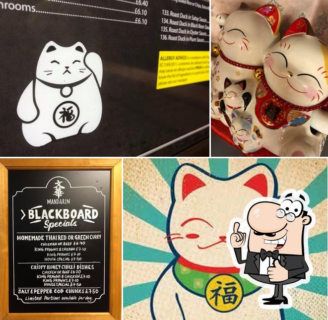 The Mandarin, Wallsend, Wallsend - Restaurant menu, prices and reviews