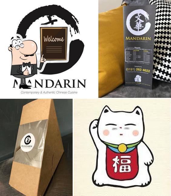 The Mandarin, Wallsend, Wallsend - Restaurant menu, prices and reviews