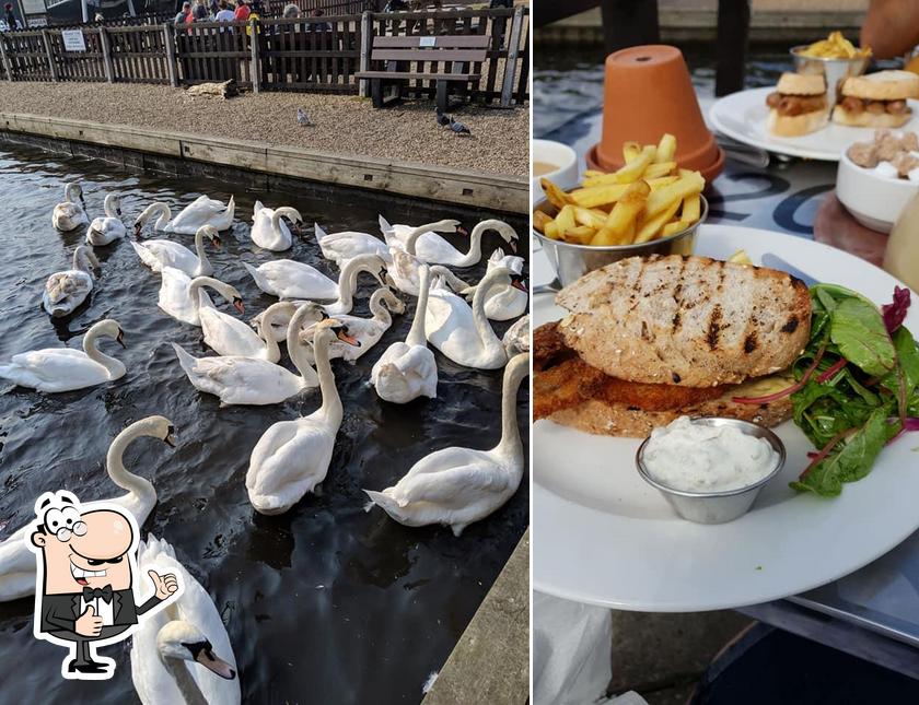 The Waterside Terrace bar and restaurant, Wroxham - Restaurant menu ...