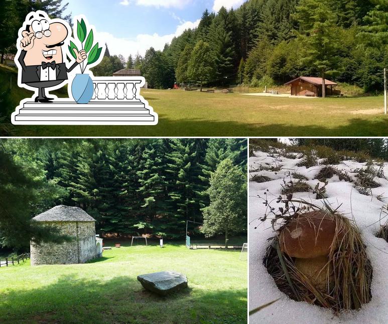 La Pineta - Menu du restaurant, prix et avis