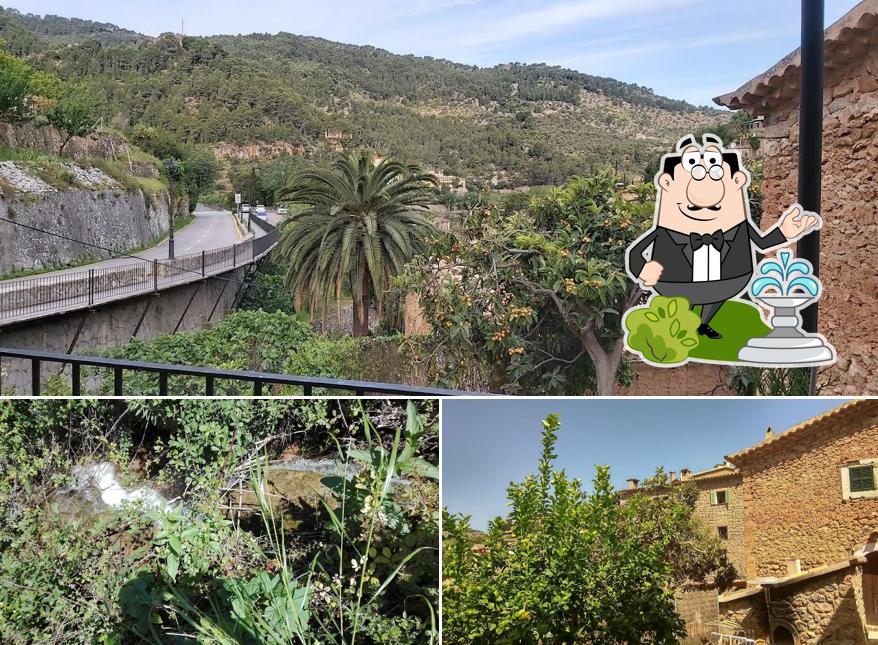 Cafè Sa Font Fresca, Deià - Restaurant menu, prices and reviews