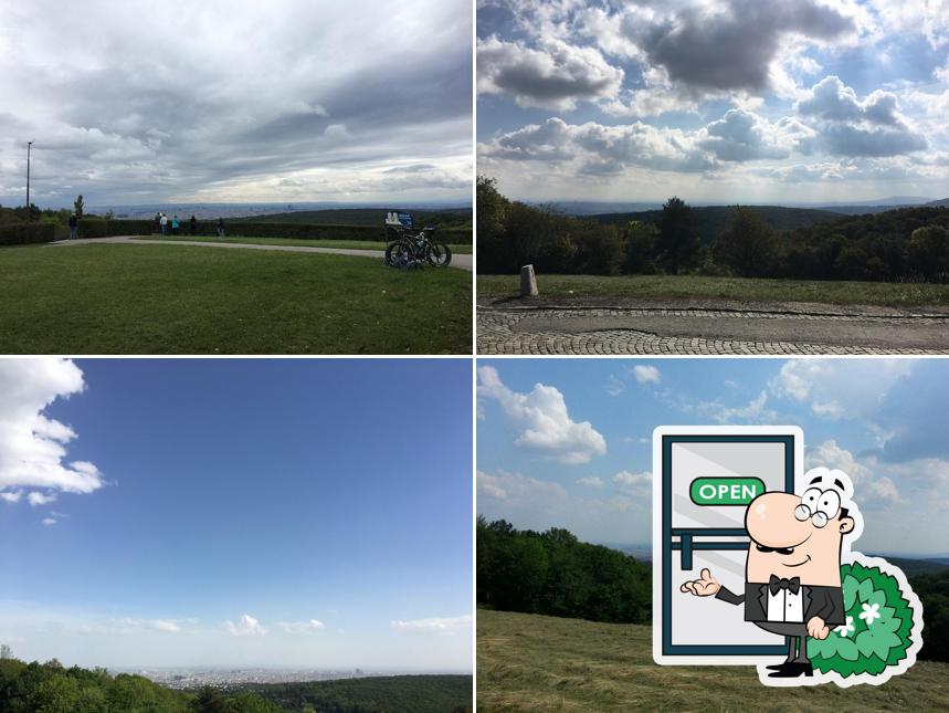 Häuserl am Roan, Wien - Speisekarte, Preise und Bewertungen