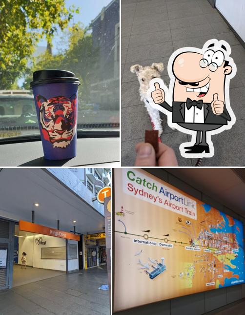 Sydney Kebab Station, Potts Point - Restaurant menu, prices and reviews