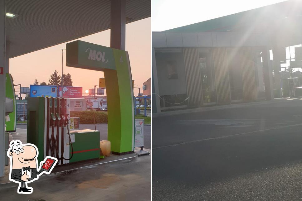 Mol Fresh Corner, Celje - Speisekarte, Preise und Bewertungen