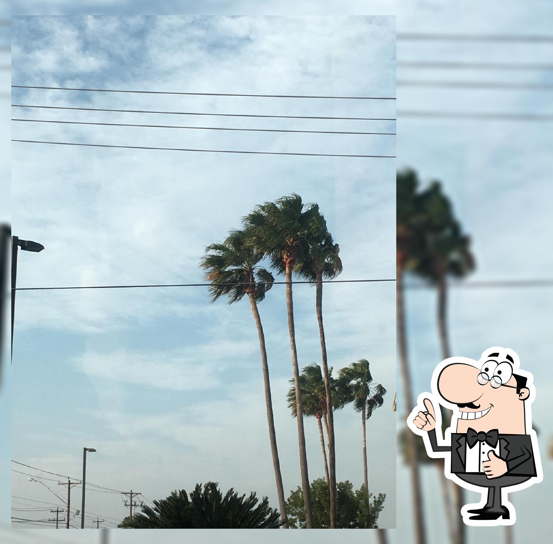 La Paletera, 2200 Trenton Rd Ste 1 in McAllen - Restaurant menu