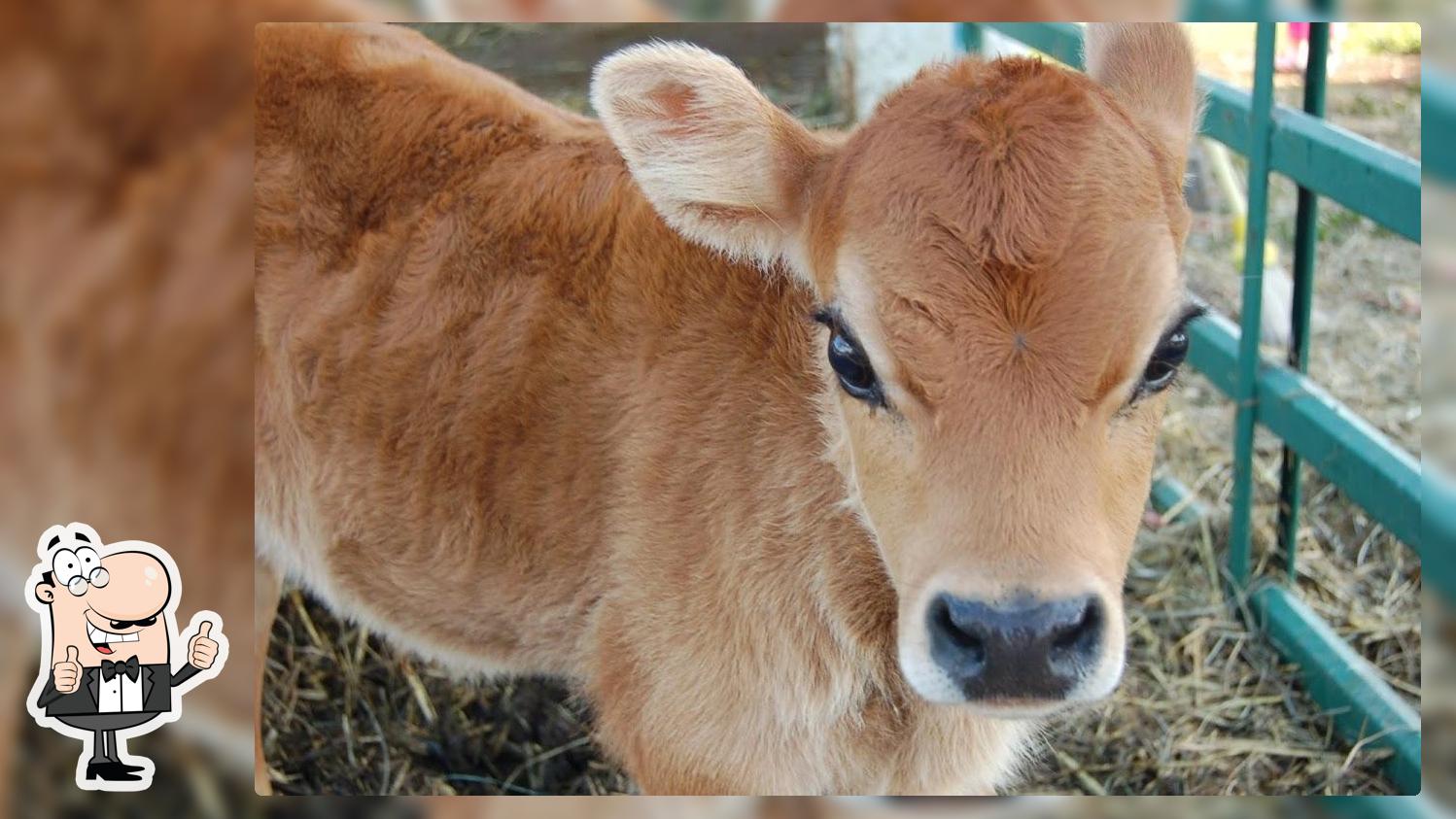 Pigs R Us in Hugoton - Restaurant reviews