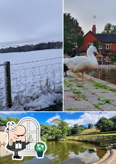 The Boar Inn, Stone - Restaurant menu, prices and reviews