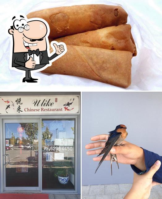 Ulike Chinese Restaurant, Aveley - Restaurant menu, prices and reviews