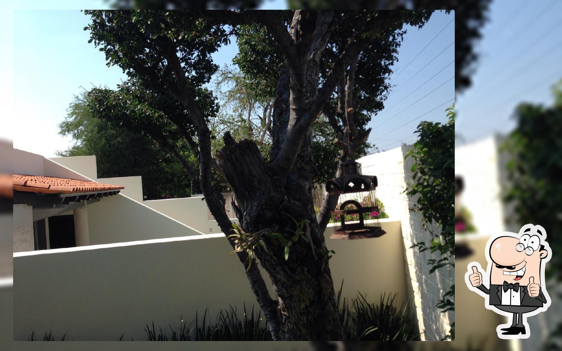 TajOH! Burguer Ajijic restaurant, Ajijic