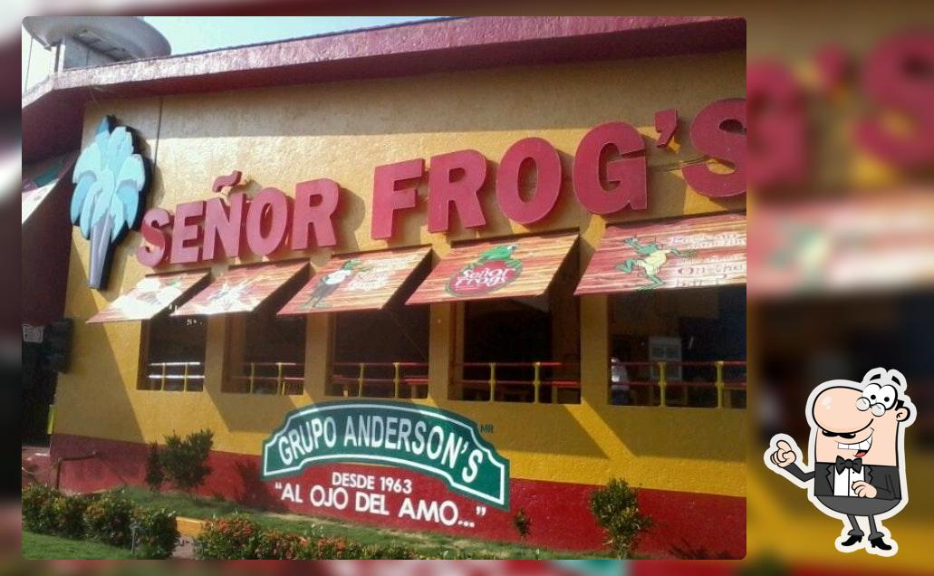 Restaurante Señor Frog's, Ixtapa - Opiniones del restaurante