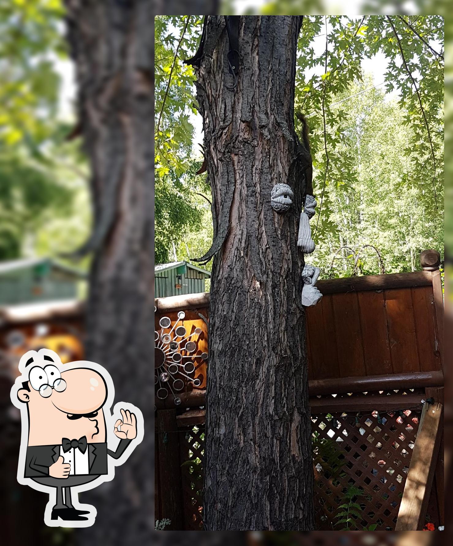 Beauty Bay Golf Course @ Black Sturgeon Lake in Kenora - Restaurant reviews