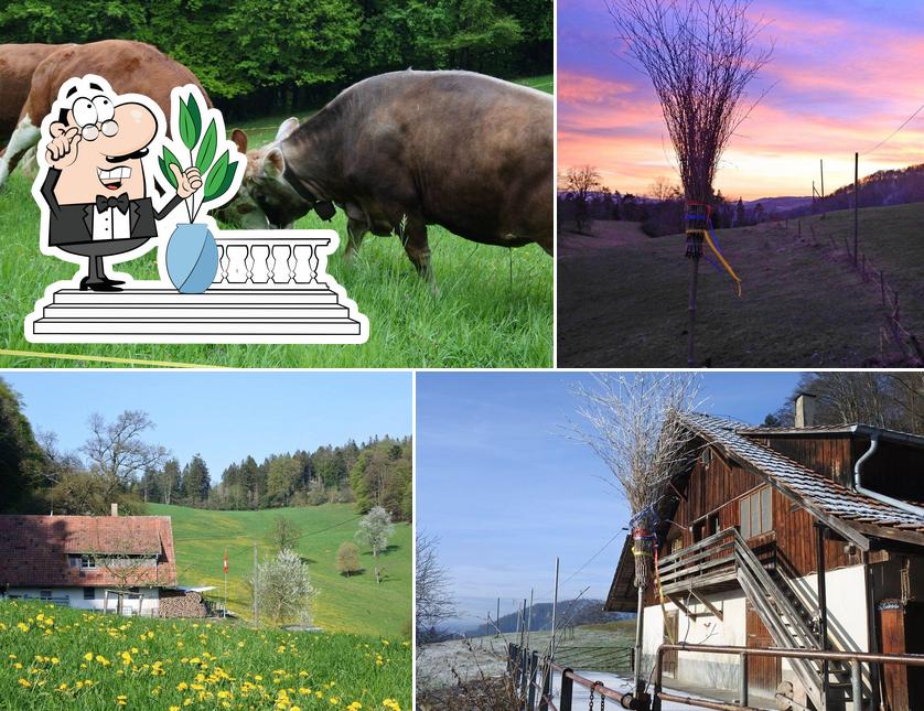 Besenbeiz Remel, Kleinlützel - Speisekarte, Preise und Bewertungen