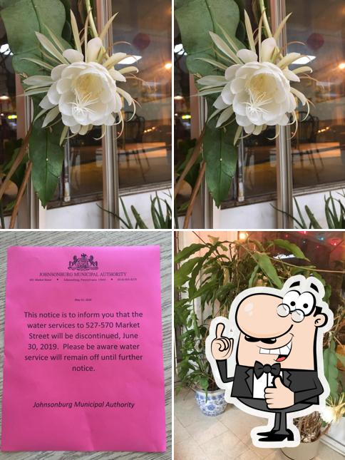 New Panda House, Johnsonburg - Restaurant menu, prices and reviews