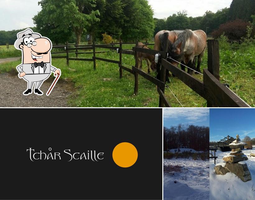 Tchar Scaille, Thilay - Menu du restaurant, prix et avis