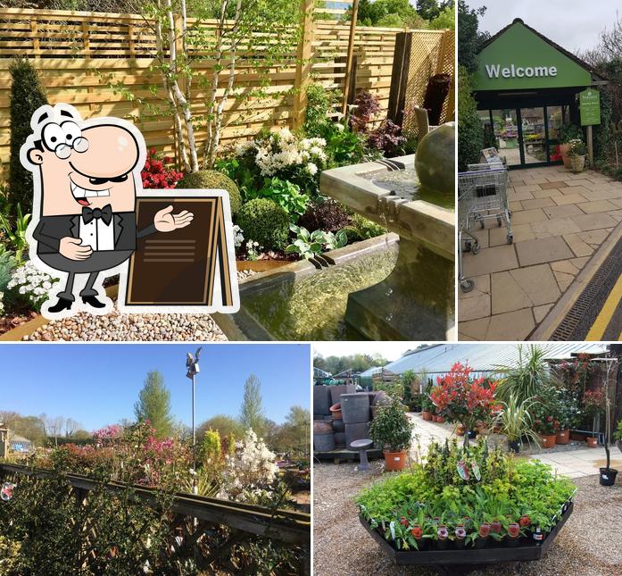 Top 2 restaurants with steak sandwiches in Cranleigh, august 2025 ...