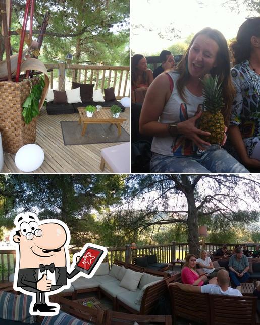 Carry Nation - Dans Les Arbres pub et bar, Aubagne