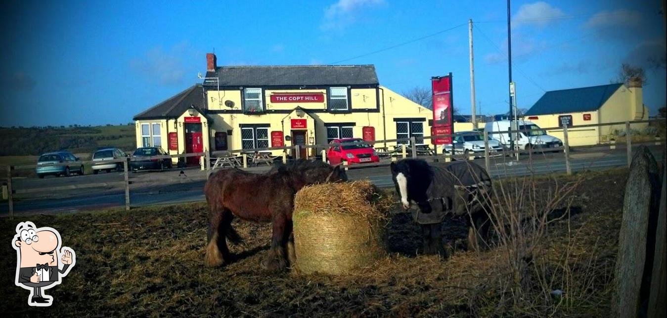 The Copt Hill Country Inn in Houghton le Spring - Restaurant menu and ...