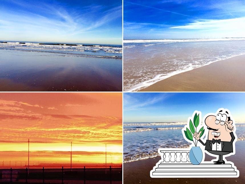 The Almighty Cod in Hartlepool - Restaurant menu and reviews