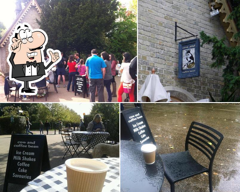 Cow & Coffee Bean, London - Restaurant menu, prices and reviews