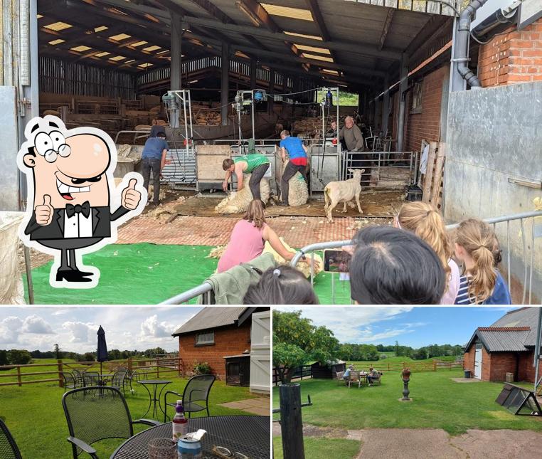 Lizzie’s Farm, Bromsgrove - Restaurant menu, prices and reviews