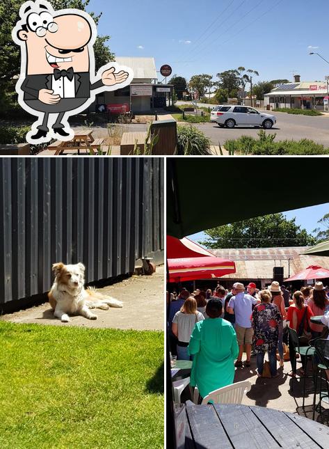 The Royal Hotel Meredith, Meredith - Restaurant menu, prices and reviews