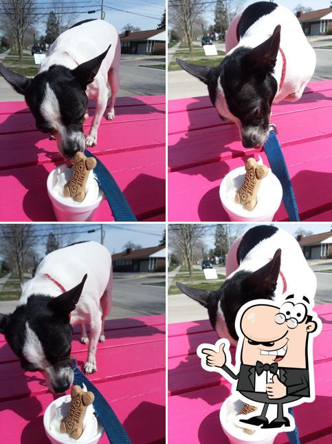 Jolly Dipper, Findlay - Restaurant menu, prices and reviews