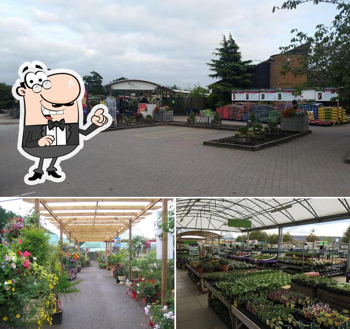 Tring Garden Centre, Tring - Restaurant menu, prices and reviews