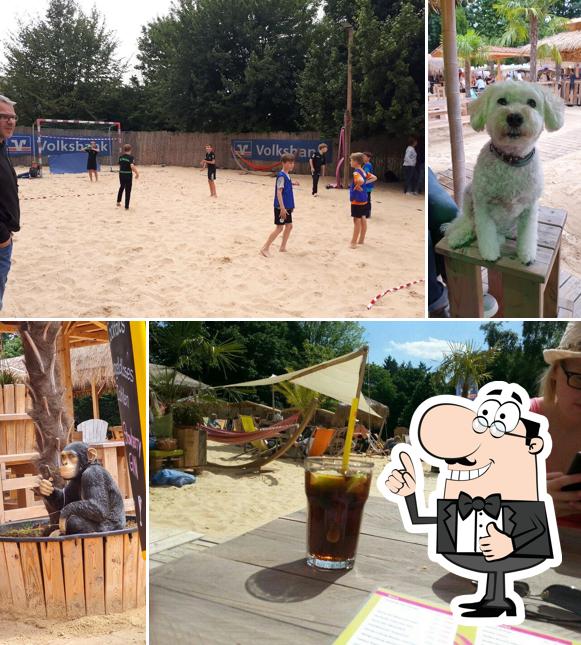 Aloha Beachclub Herford, Herford - Restaurant menu, prices and reviews