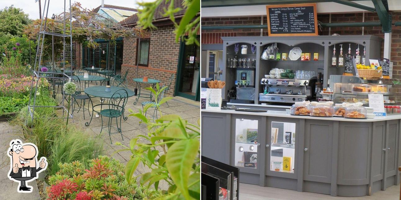 Camelia Botnar Coffee Shop, Cowfold - Restaurant menu, prices and reviews
