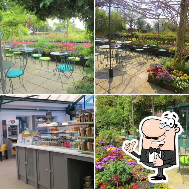 Camelia Botnar Coffee Shop, Cowfold - Restaurant menu, prices and reviews