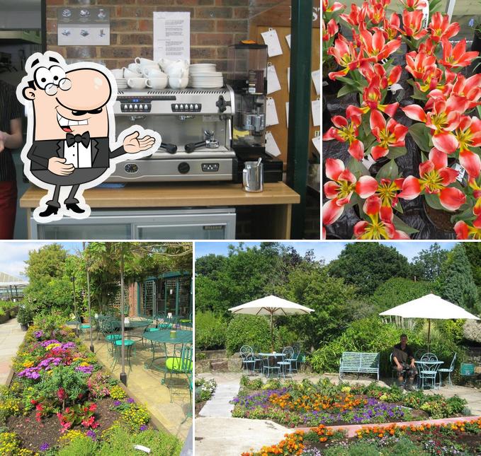 Camelia Botnar Coffee Shop, Cowfold - Restaurant menu, prices and reviews