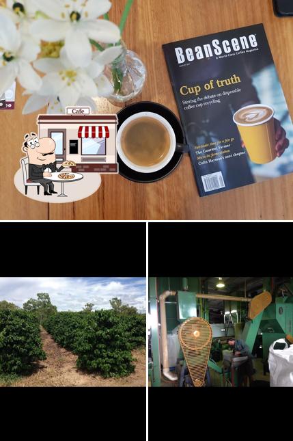 Little Gecko Boutique Cafe in South Kingsville - Restaurant menu and ...