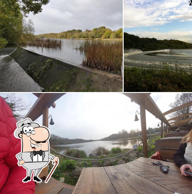 The Wire Mill, Lingfield - Restaurant menu, prices and reviews