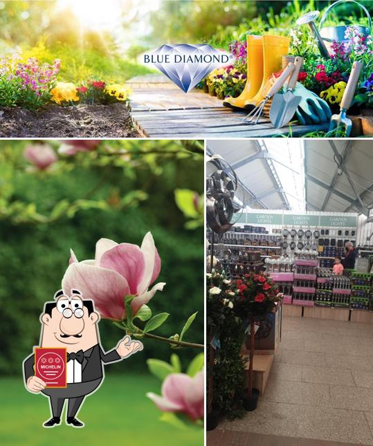 Bridgemere Garden Centre - Restaurant menu, prices and reviews