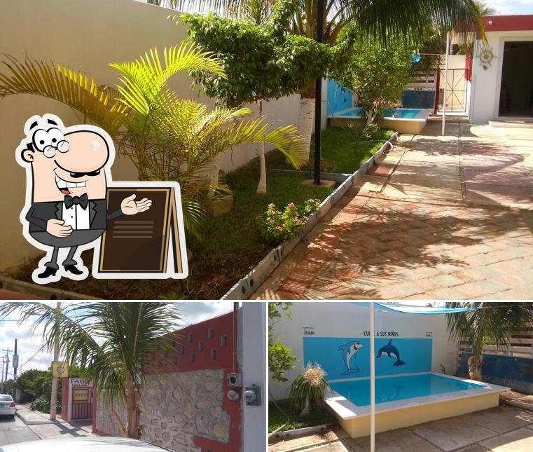 PAO'S CAFE, Progreso, C 27 #8e Por 44 y 46 - Opiniones del restaurante