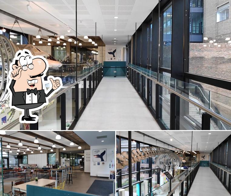 Whale Cafe, Cambridge - Restaurant menu, prices and reviews