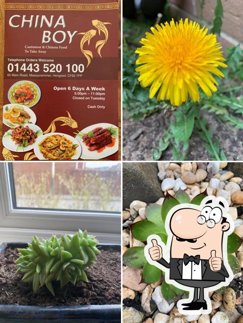 China Boy Hengoed, Maesycwmmer - Restaurant menu, prices and reviews