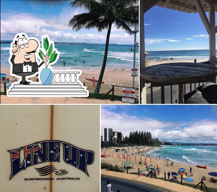 Rainbow Bay Surf Club Bar, Coolangatta - Restaurant menu, prices and ...