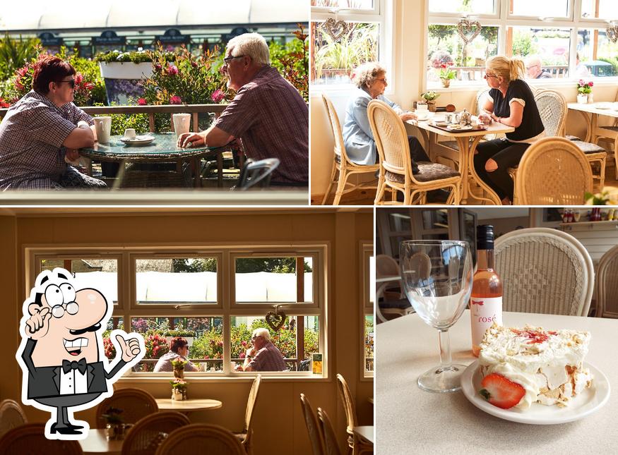 Scotsdales Garden Centre Fordham, Fordham - Restaurant menu, prices and ...