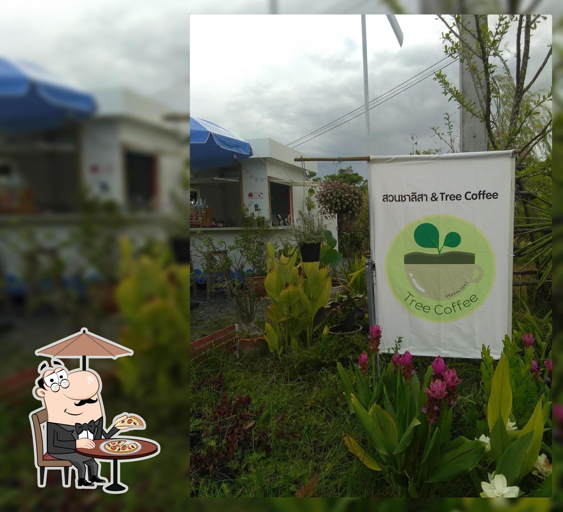 สวนชาลิสา tree coffee, Nong Kham