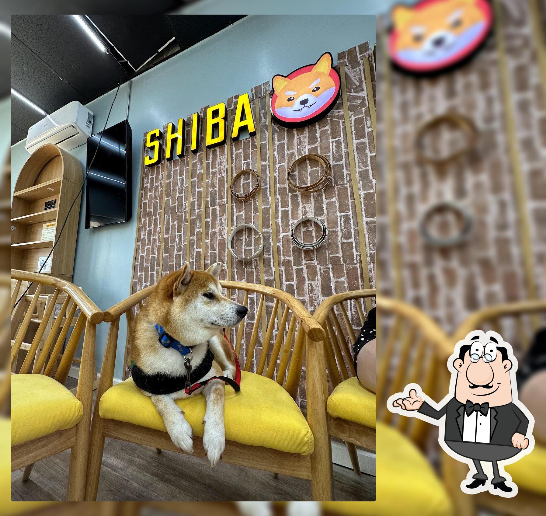 Shiba Cafe in Cypress - Restaurant menu and reviews