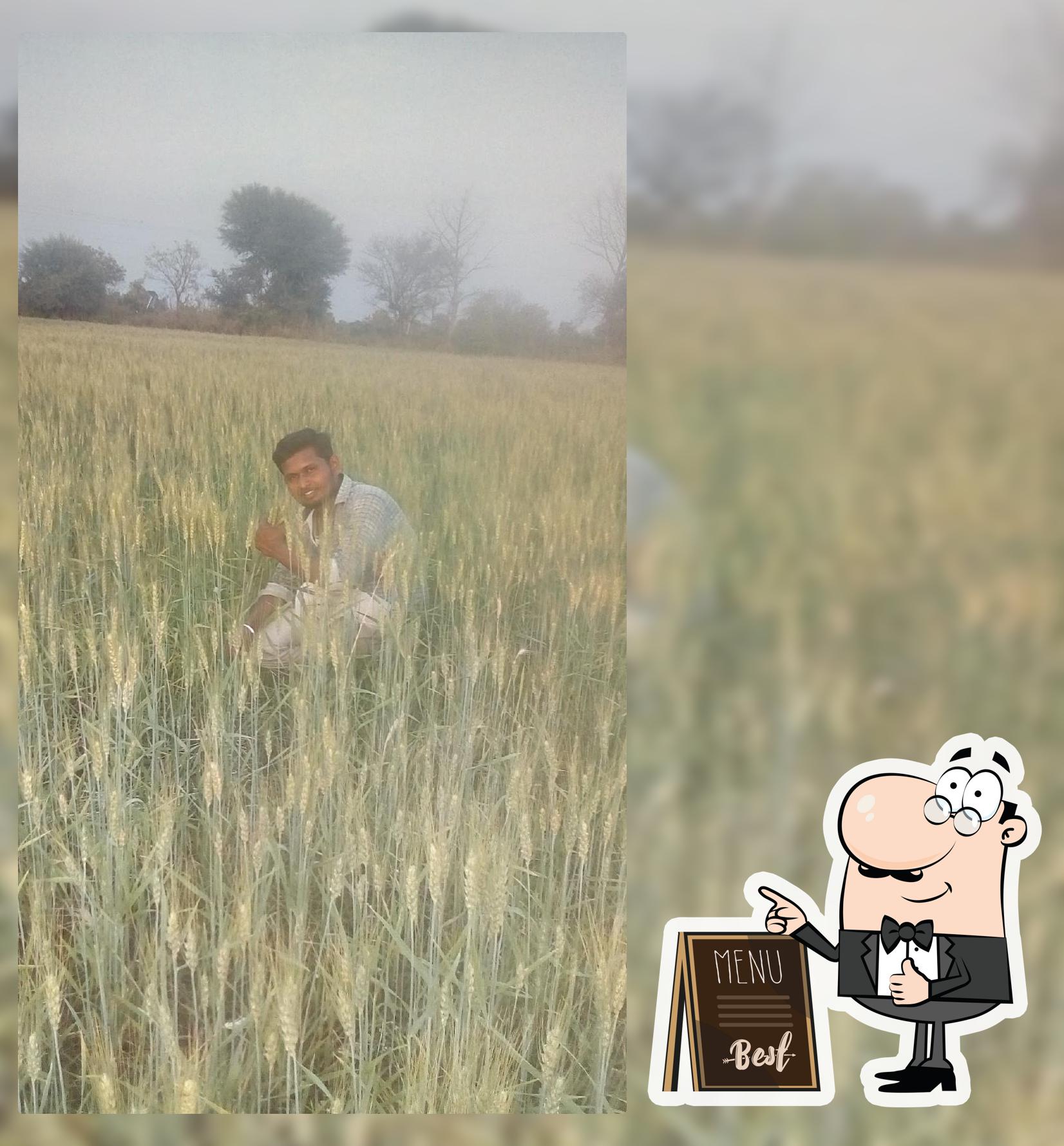 Trinetra Family Garden Restaurant and Bar, Katol - Restaurant reviews