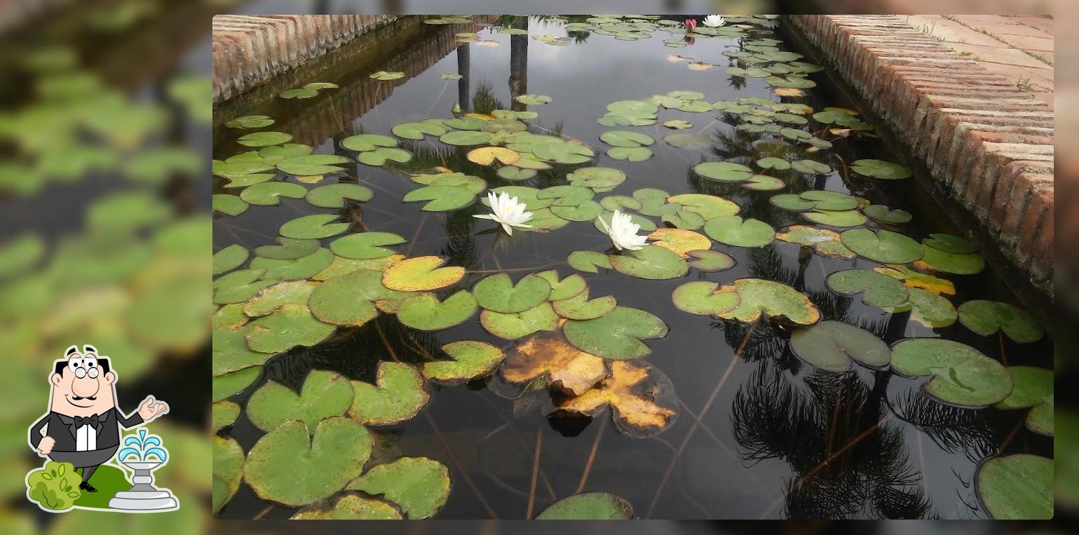 Club de Tenis y Padel Lew Hoad in Mijas - Restaurant reviews