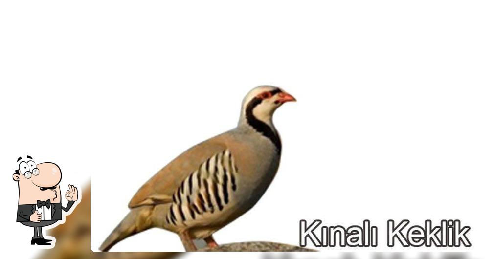 Keklik Kafeterya, Turkey - Restaurant reviews