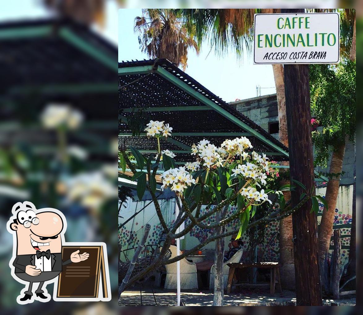 Caffe Encinalito cafe, Los Barriles - Restaurant reviews