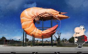 Saltbush Bar & Grill, Ballina - Restaurant menu, prices and reviews