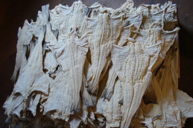 Flavors of Iceland: Traditional Dishes to Try in Reykjavik